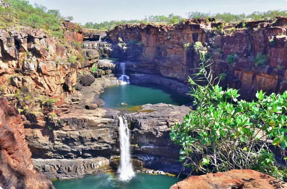 Local Business Hub - Advertising Service in Newcastle, NSW - True Finders