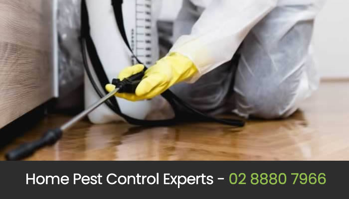 Eco Pest Control Sydney - Pest Control in Ultimo, NSW - True Finders